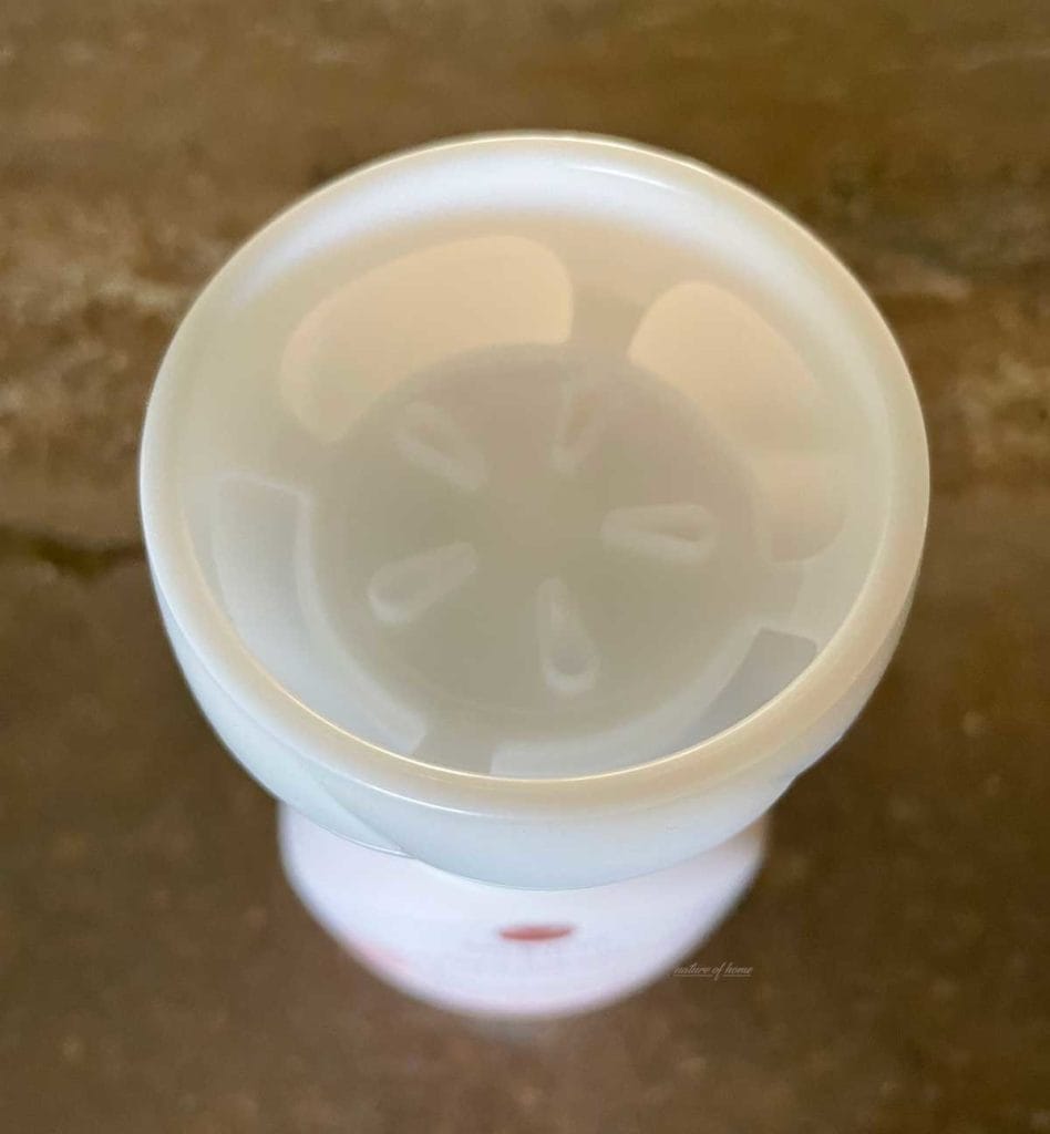 Japanese Flower Stamp Hand Soap: MyKirei (Viral Sensation)