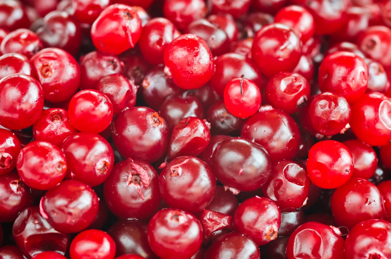 Are Cranberries Man Made? History, Humans & Uses (Solved)