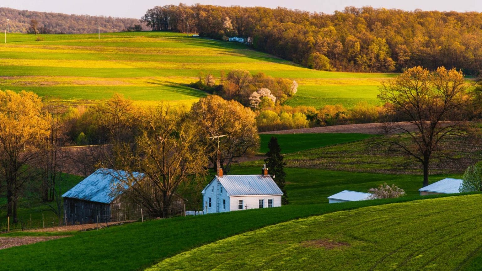Top 11 Best States for Homesteading According to the Internet