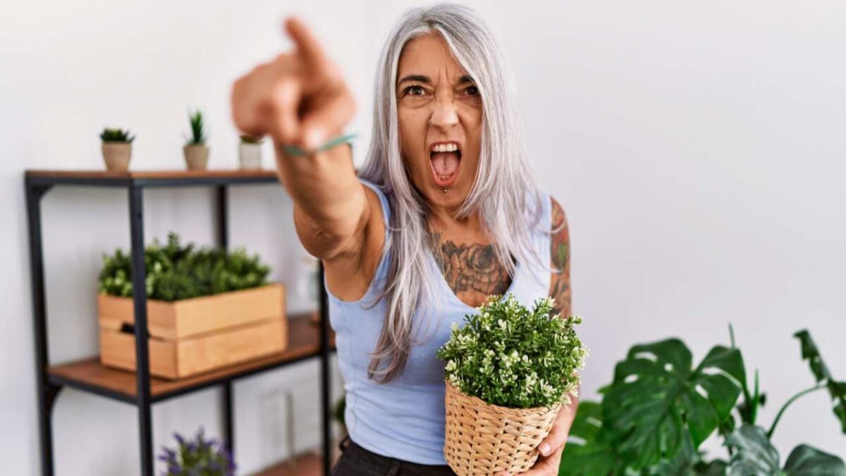 Hilarious Way Gardener Fought Back Against Plant Thieves