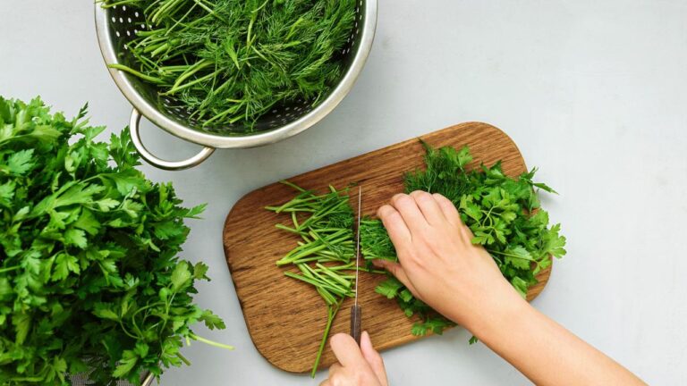 7 Popular Green Herbs: What They Are & How to Use Them