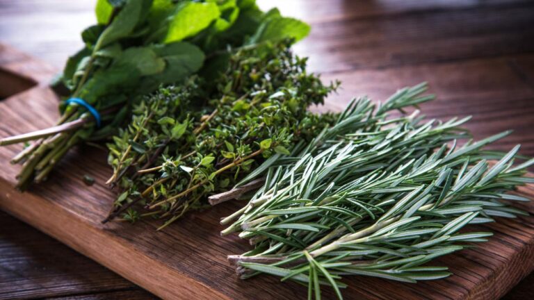 7 Popular Green Herbs: What They Are & How to Use Them