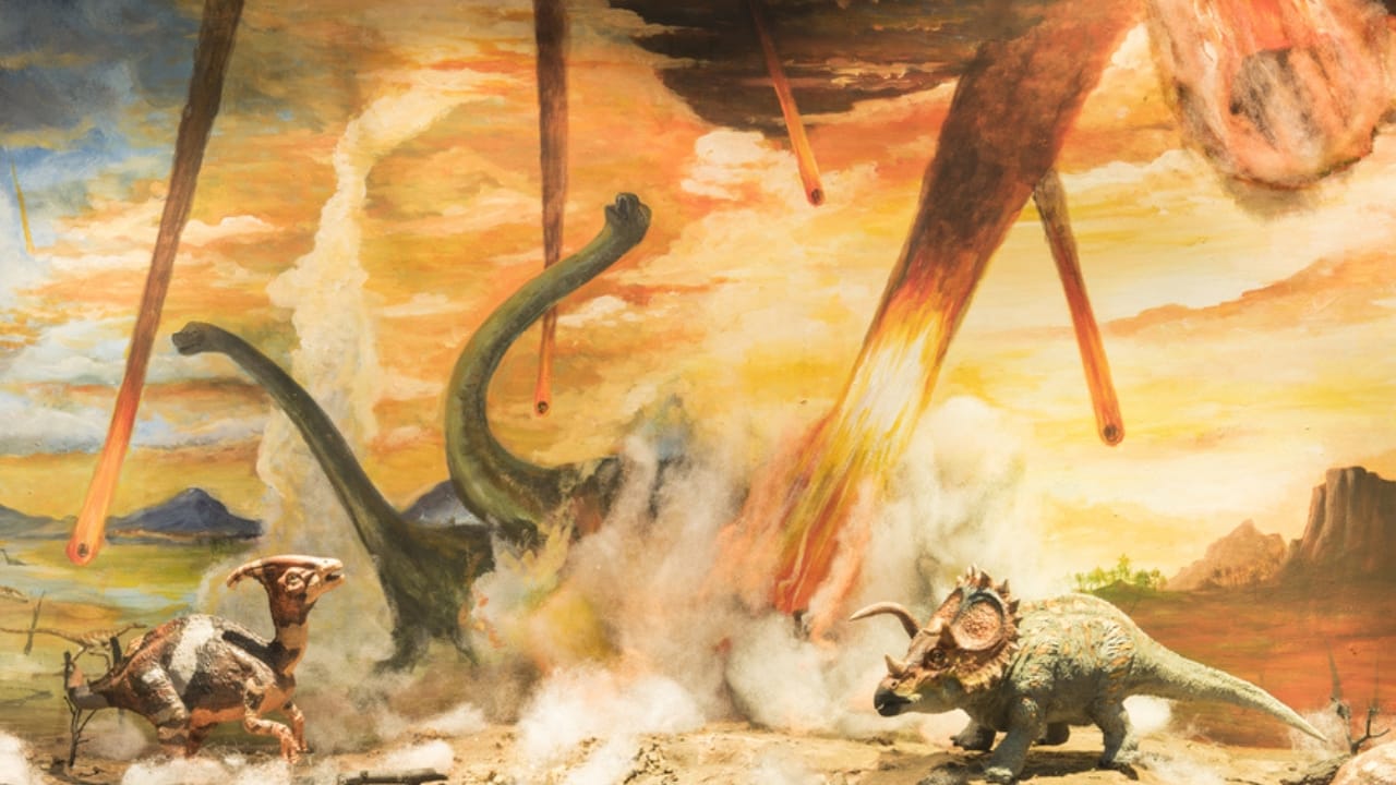 19 Unusual But Fascinating Dinosaur Facts You Probably Never Learned in ...