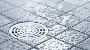 5 Steps to Instantly Get Rid of Drain Flies Permanently