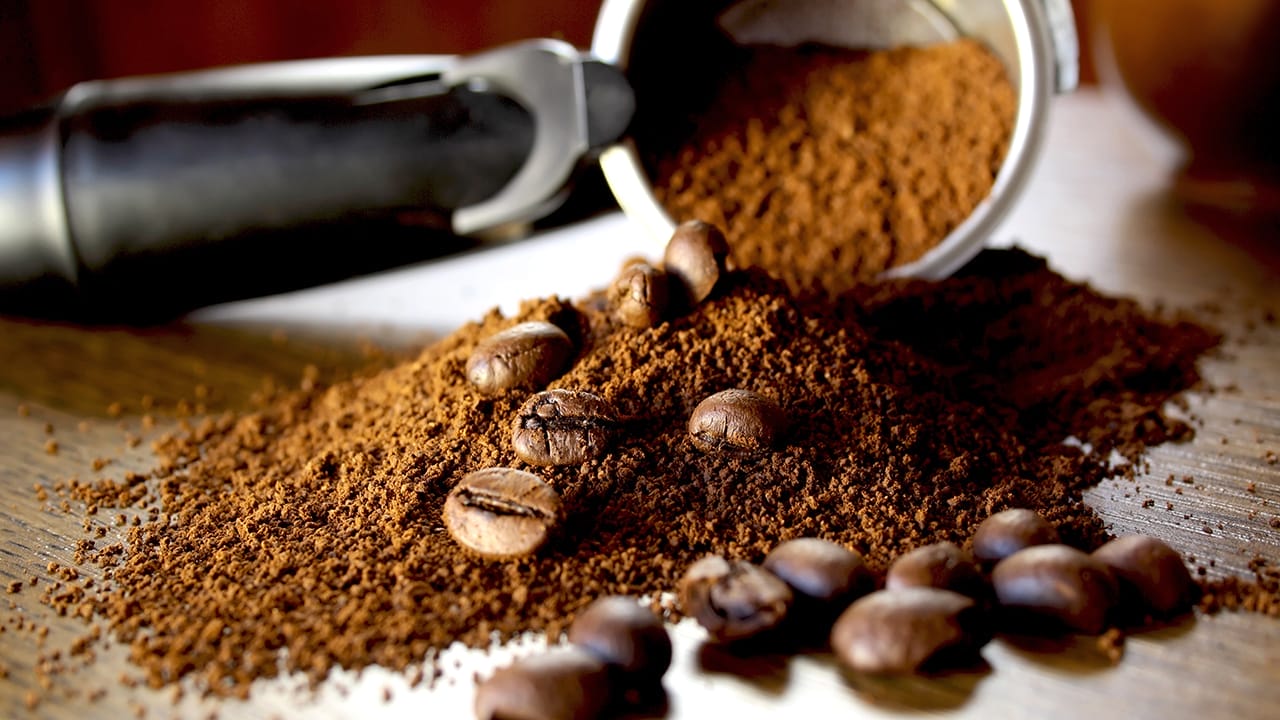 12 Scents That Ants Despise