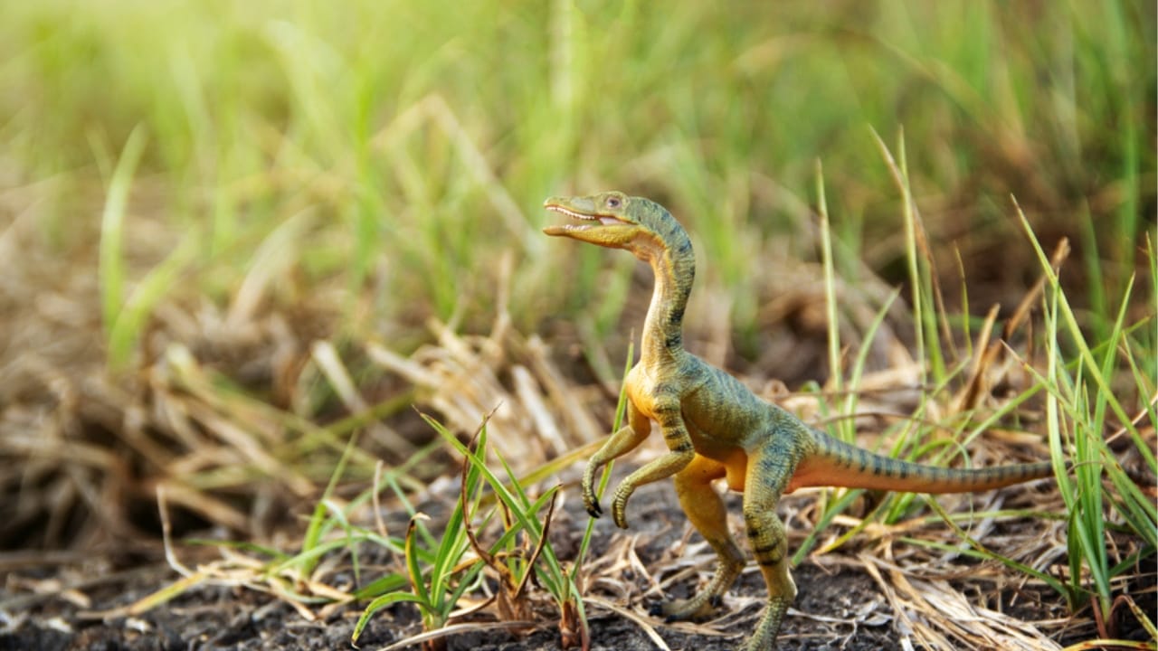 19 Unusual But Fascinating Dinosaur Facts You Probably Never Learned in ...