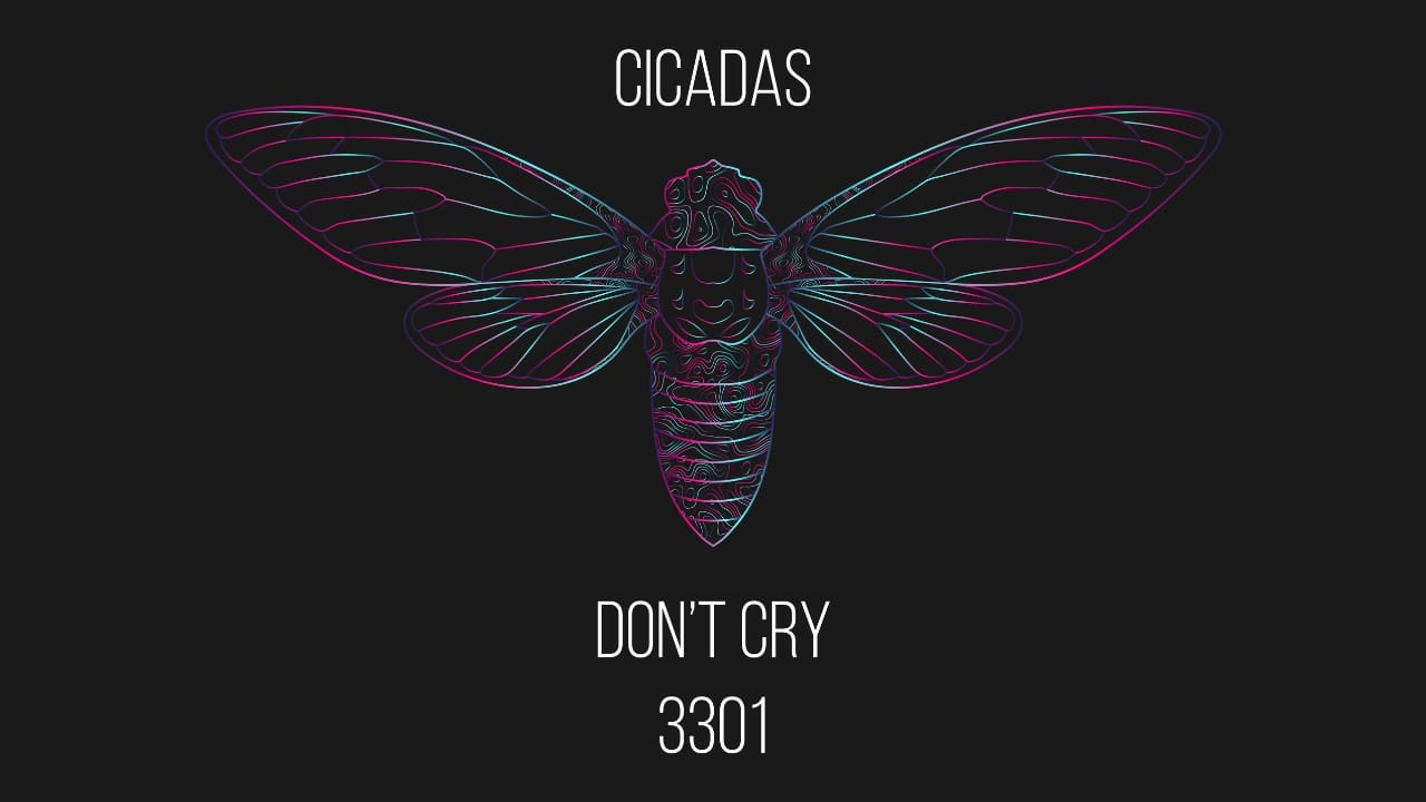 9 Insights: The Historic Brood XIX Cicada Emergence in 2024