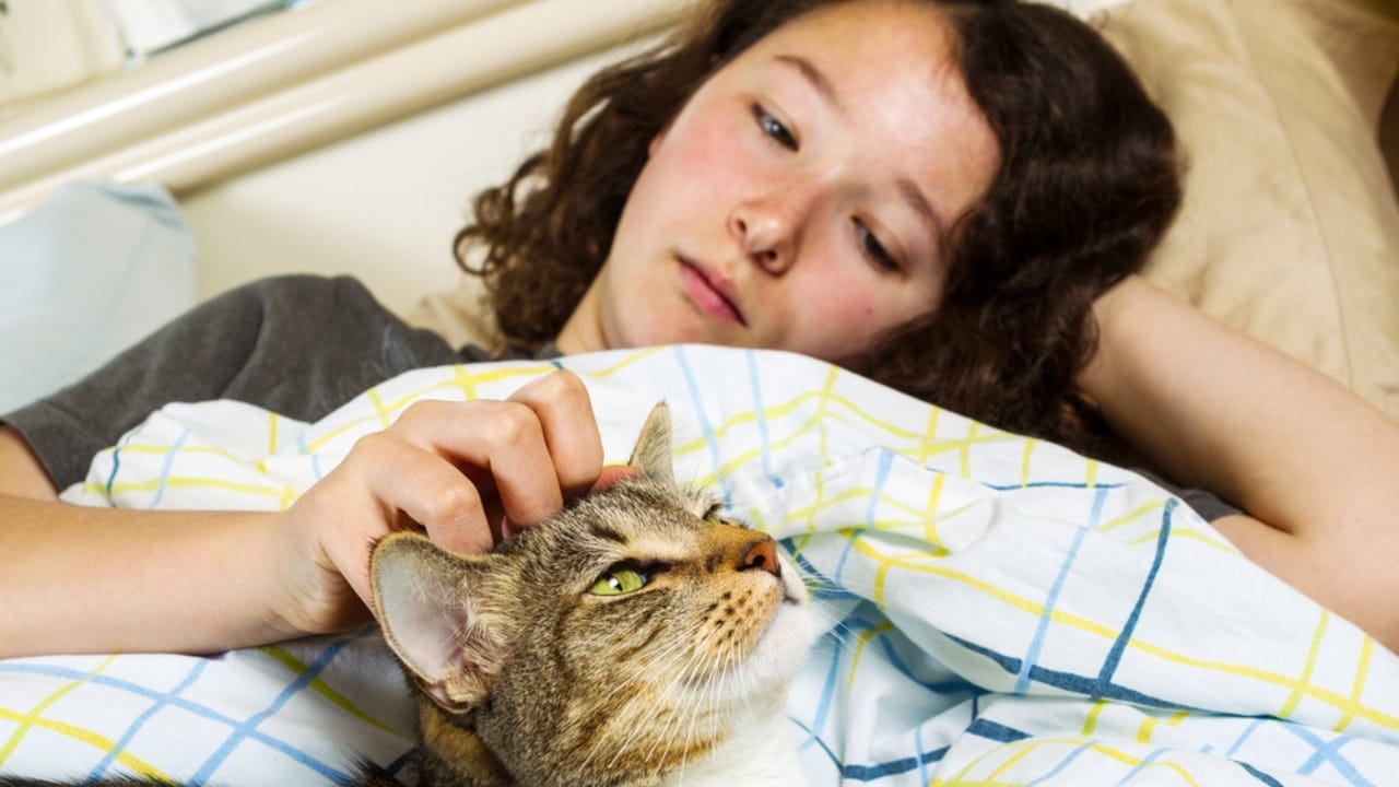 10 Purr-fect Signals of Feline Trust & Affection