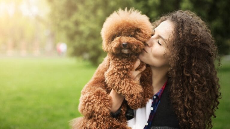 Puppy Prescriptions: The 10 Best Therapy Dog Breeds