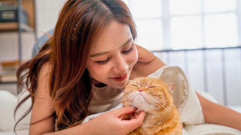 10 Purr-fect Ways to Pet a Cat So They Love You