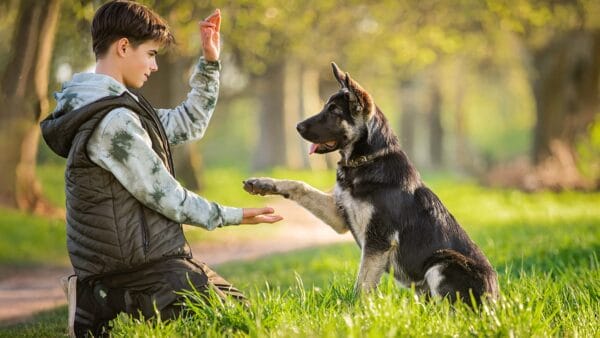 9 Dog-Friendly Hobbies to Strengthen Your Connection with Your Pup