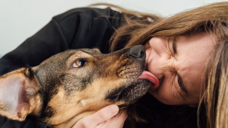 Why We Feel So Connected to Dogs: A Look at the Science of Human-Canine ...