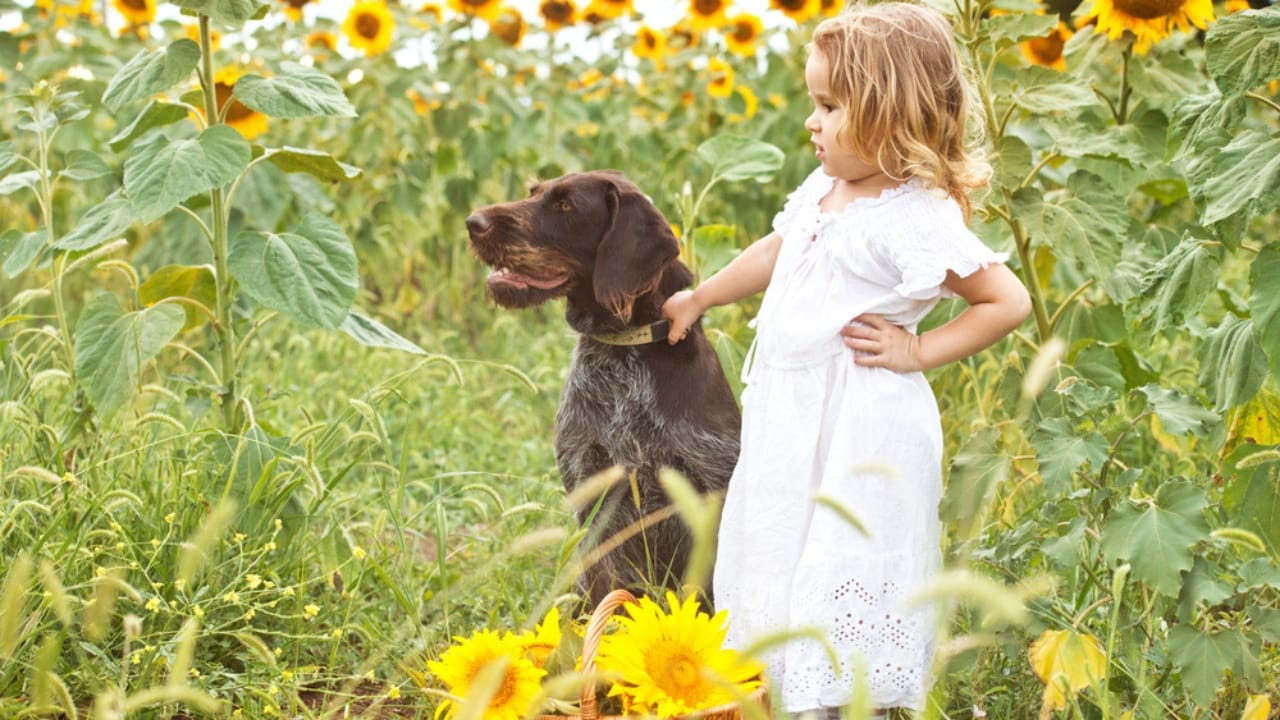 Dogs Reduce Childhood Anxiety, But Teach These Skills for Safe & Happy ...
