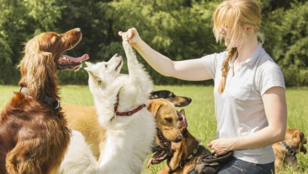 10 Worst Dog Breeds for Kids