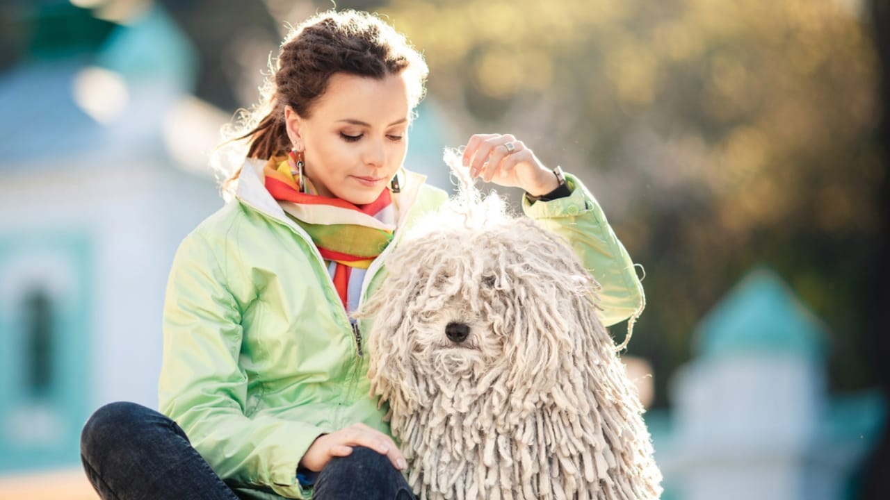 10 Facts about Puli Dogs Every Potential Owner Should Know