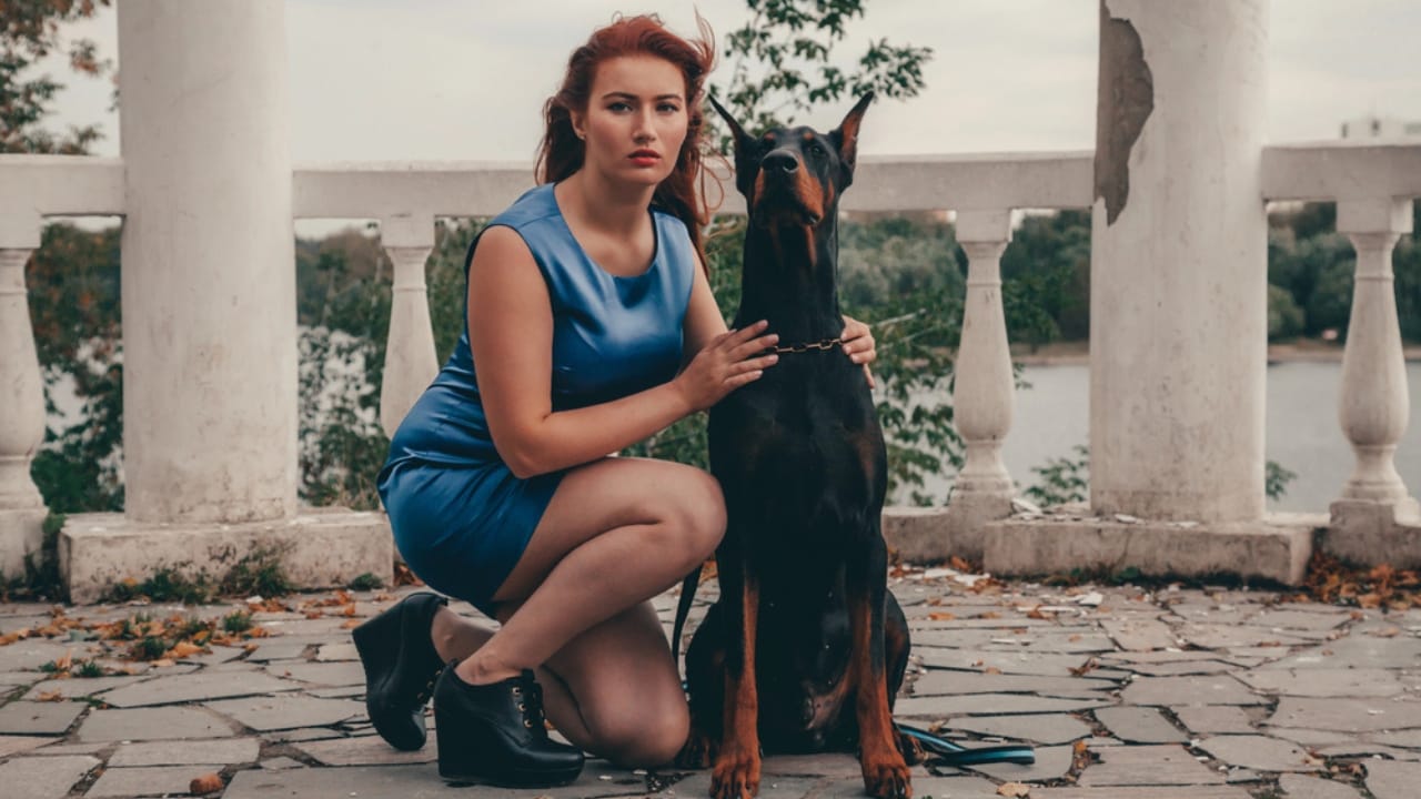 12 Intelligent Dog Breeds That Truly Understand Humans