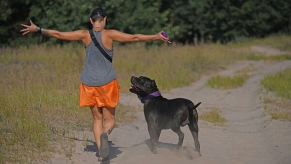 11 Facts About XL Bully Dogs That Potential Owners Should Know