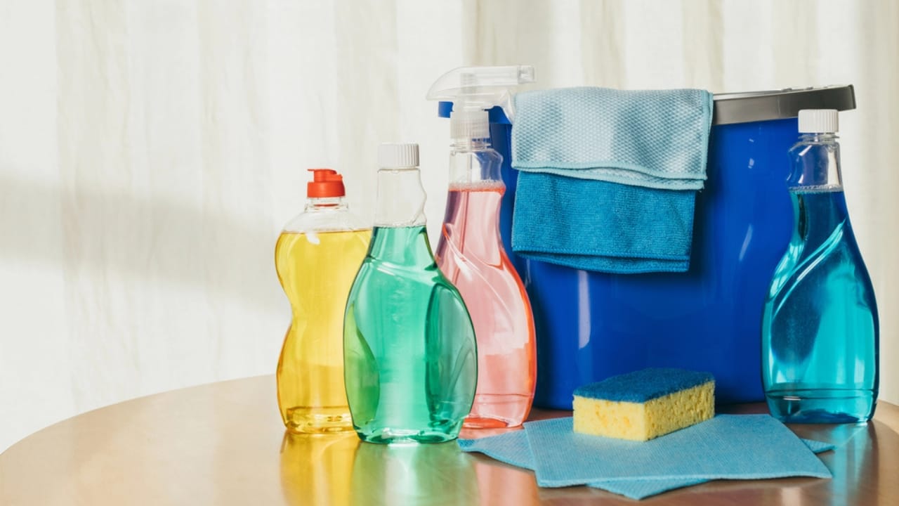 New Puppy Starter Kit: 15 Items to Make Their First Year Easy