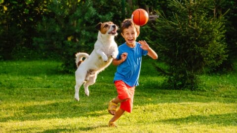 Dogs Reduce Childhood Anxiety, But Teach These Skills for Safe & Happy ...
