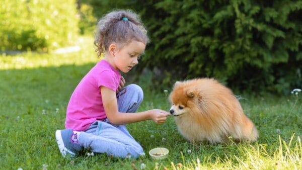 Dogs Reduce Childhood Anxiety, But Teach These Skills for Safe & Happy ...