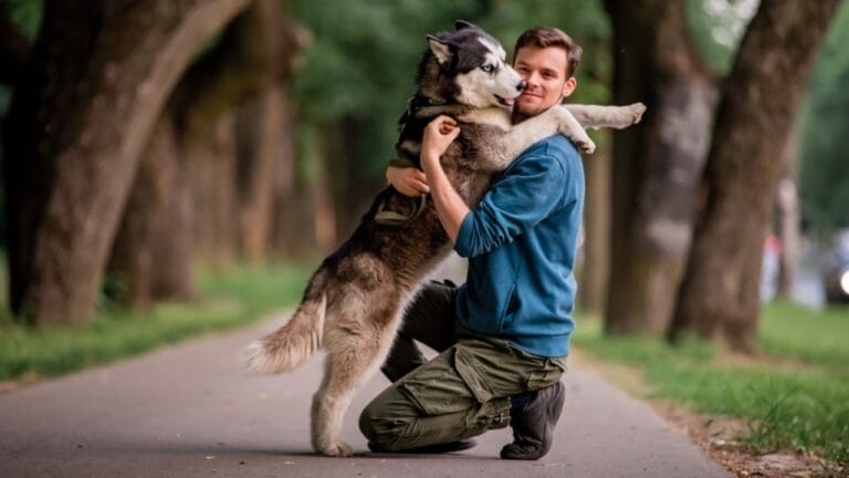 17 Strongest Dog Breeds That Prove Power Comes With Loyalty