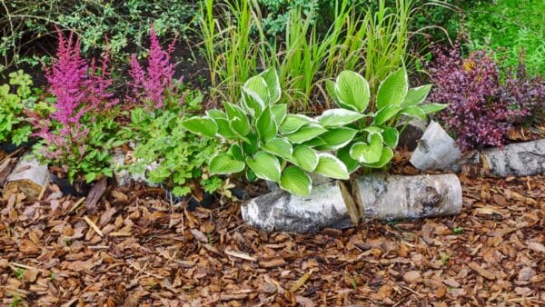 20 Ways to Use Wood Chips in Your Garden & Homestead