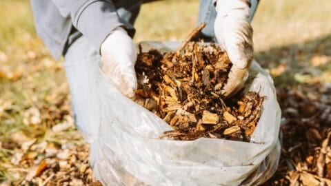 20 Ways to Use Wood Chips in Your Garden & Homestead