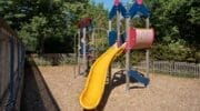 20 Ways to Use Wood Chips in Your Garden & Homestead