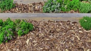 20 Ways to Use Wood Chips in Your Garden & Homestead