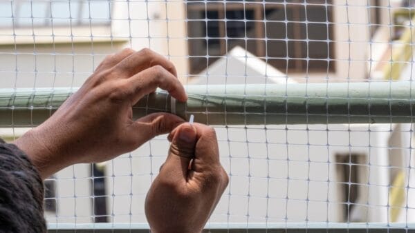 15 Simple Ways to Prevent Birds from Nesting Around Your House