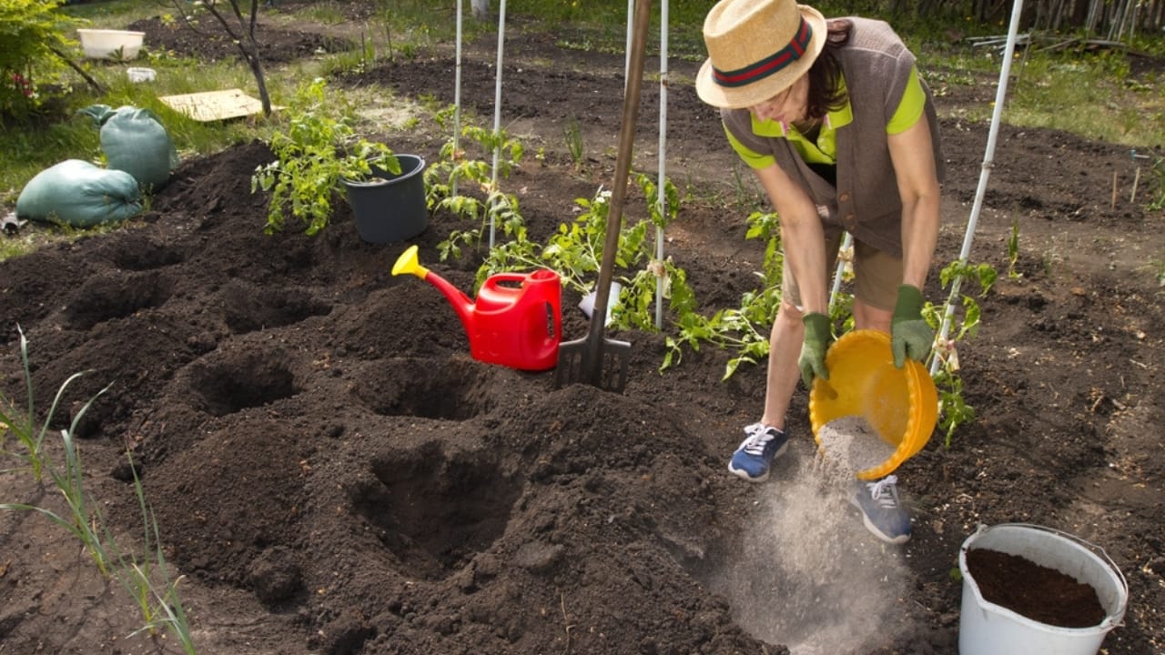 25 Useful Ways to Put Wood Ash to Work
