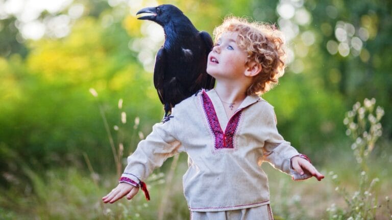 10 Reasons Why It's Illegal to Own a Crow as a Pet