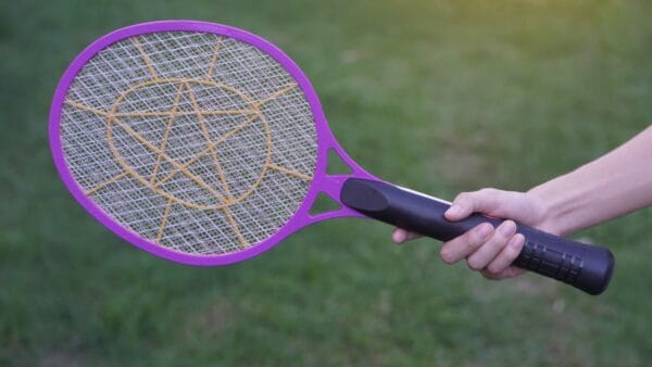 Don't Let Flies Take Over: 10 Ways to Keep Them Away for Good