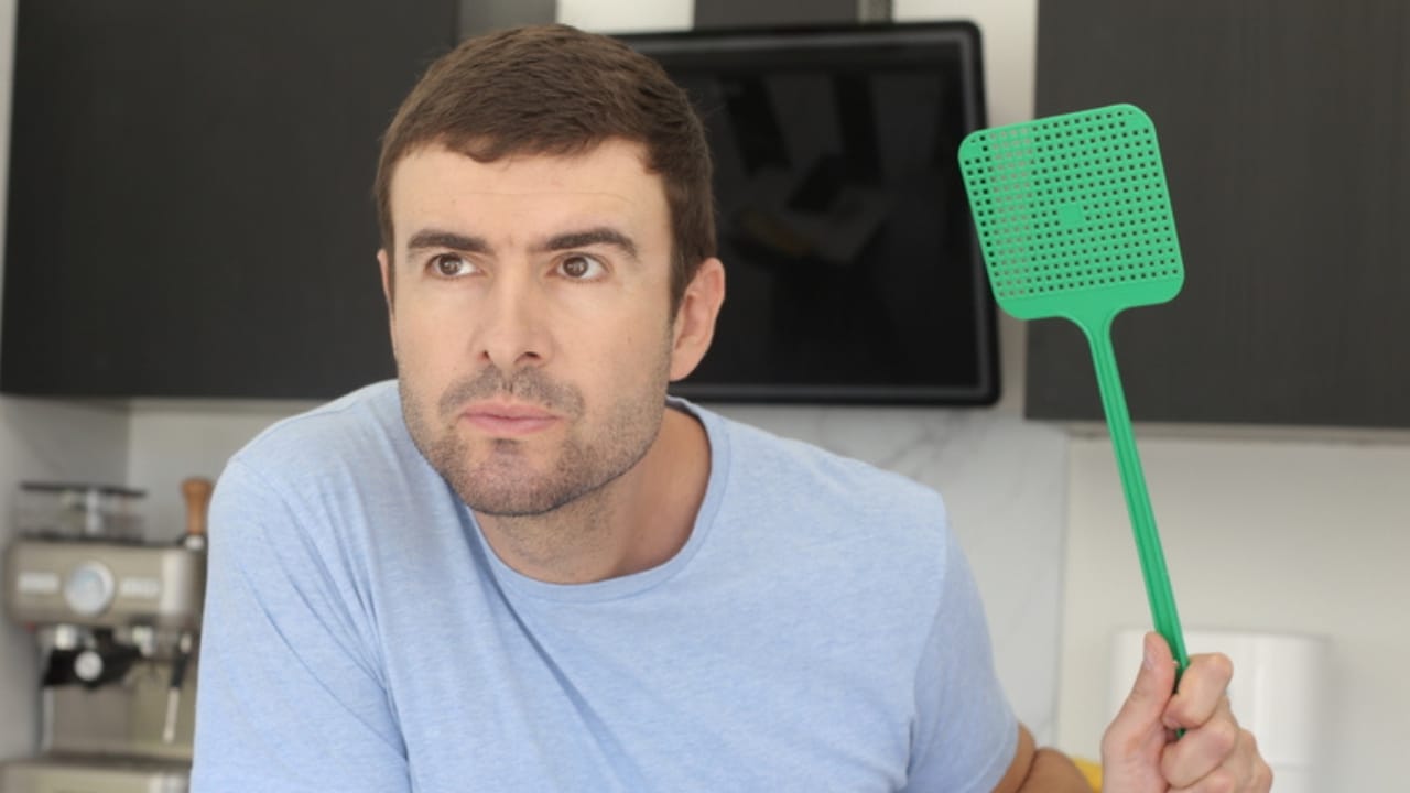 15 Effective Ways to Get Rid of Flies in Your House