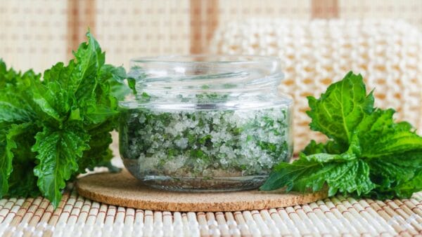 15 Ways to Use the Chocolate Mint Plant