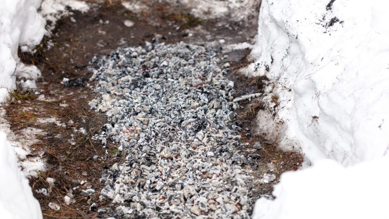 25 Useful Ways to Put Wood Ash to Work