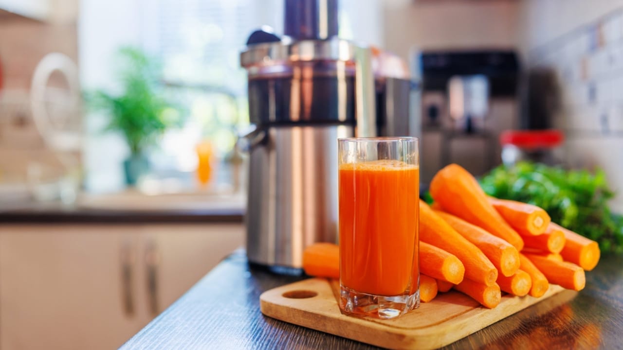 Beyond Water: 5 Safe Drinks for Your Dog