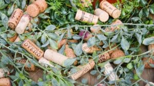 10 Creative Ways Gardeners Can Reuse Wine Corks