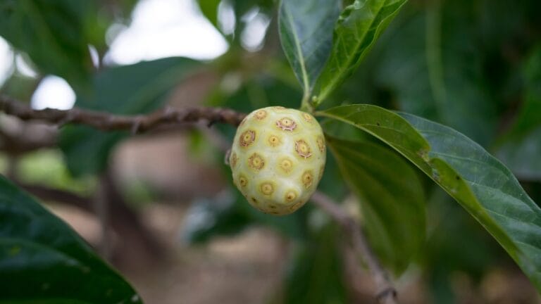 10 Unheard-of Foods That Became Lifesavers During Famine & Shortages