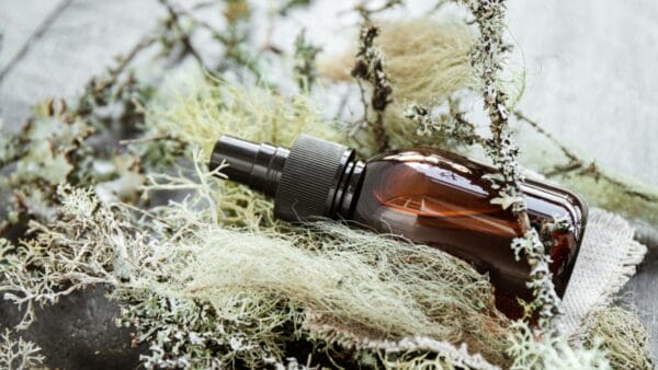 9 Reasons Why the Usnea Lichen Is Nature's Best-Kept Secret
