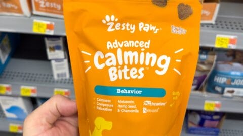 Relax Your Anxious Dog with These 15 Calming Treats