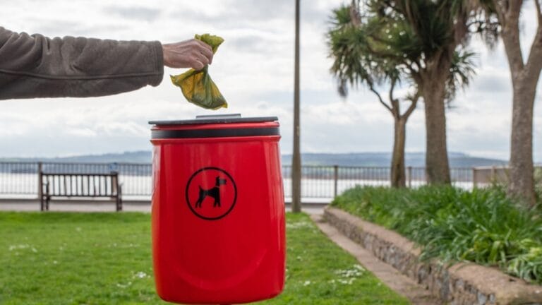 15 Reasons Why Dog Poop is a Serious Health Hazard