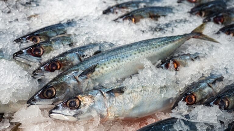Surviving Without a Fridge: 15 Ways Our Ancestors Stored Food Without ...