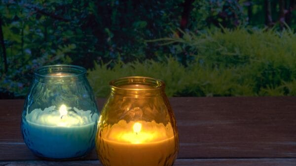 14 Instant Fixes to Keep Flies Away From Your Outdoor Spaces