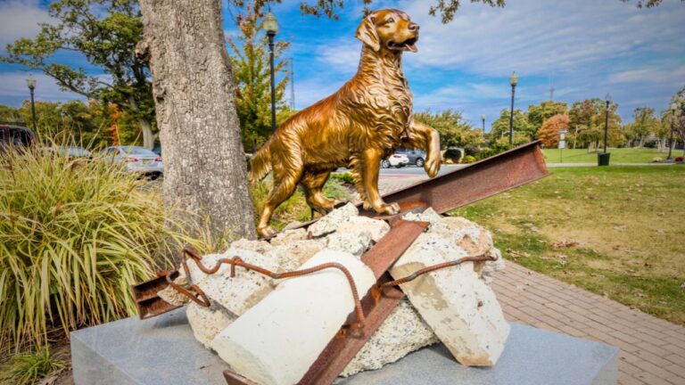 When Your Dog Dies at Home: 10 Steps Every Owner Should Know