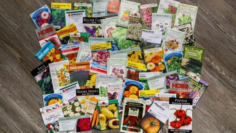 $22M Company Ditches Profits to Give Away Garden Seeds & 9 More Ways to ...