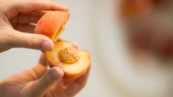 How to Turn a Peach Pit into a Thriving, Fruit-Bearing Tree