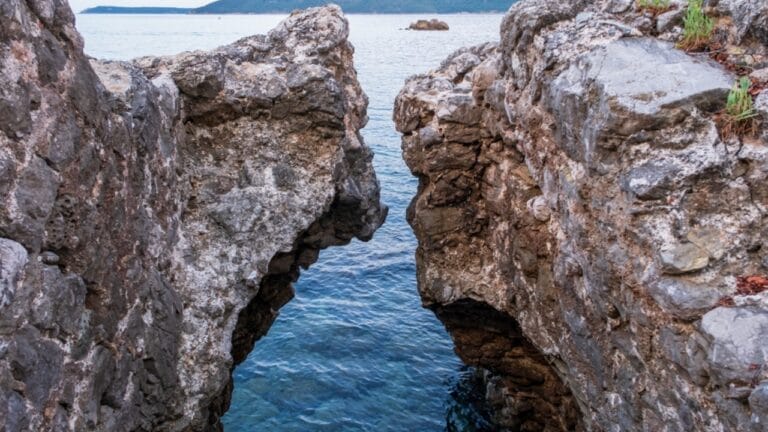 16 Unexpected Places to Find Water in an Emergency