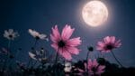 How to Create an Enchanting Moon Garden That Comes Alive at Night