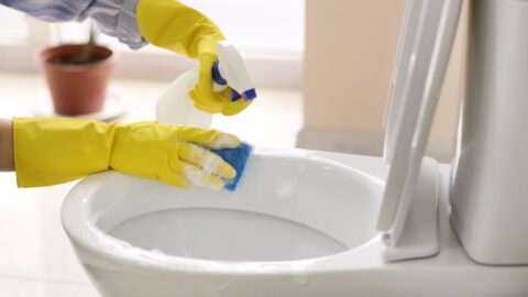 14 Natural Homemade Cleaners You Can Trust for a Chemical-Free Clean